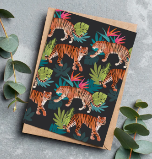 Pink Light Studio – Born Free Shop