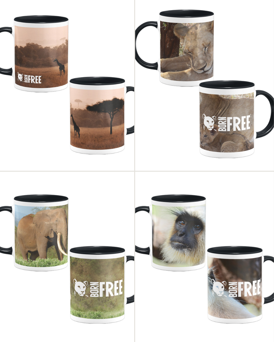 Set of four mugs by Will Travers – Born Free Shop