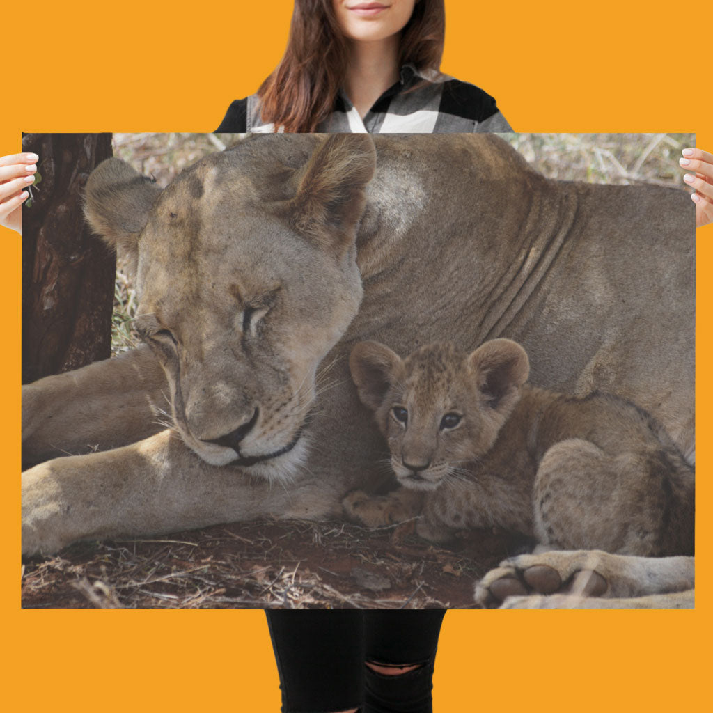 Lioness & Cub Art Print by Will Travers – Born Free Shop