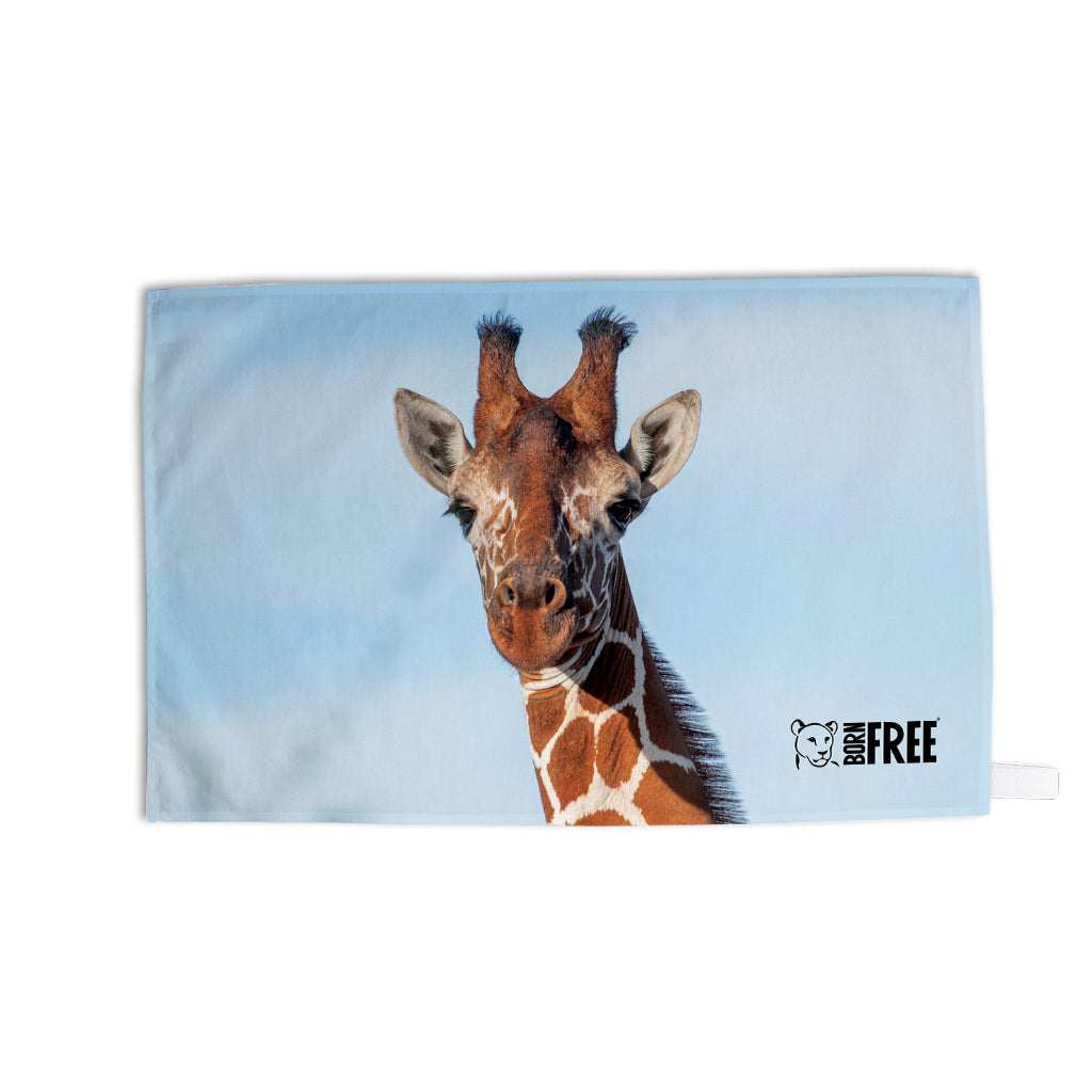 Close up Giraffe Tea Towel by Will Travers – Born Free Shop