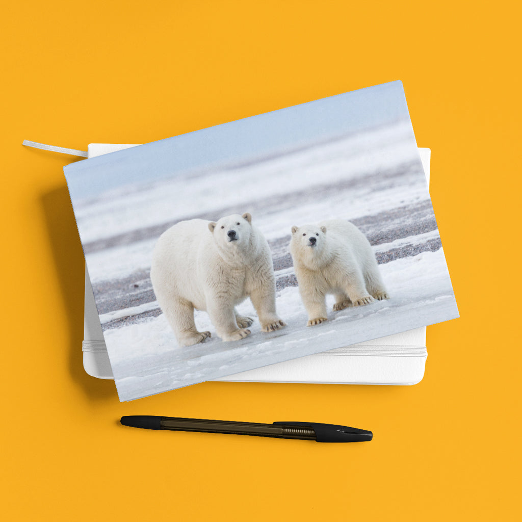The Long Goodbye - Polar Bears A5 Notepad by Richard Bernabe – Born Free Shop