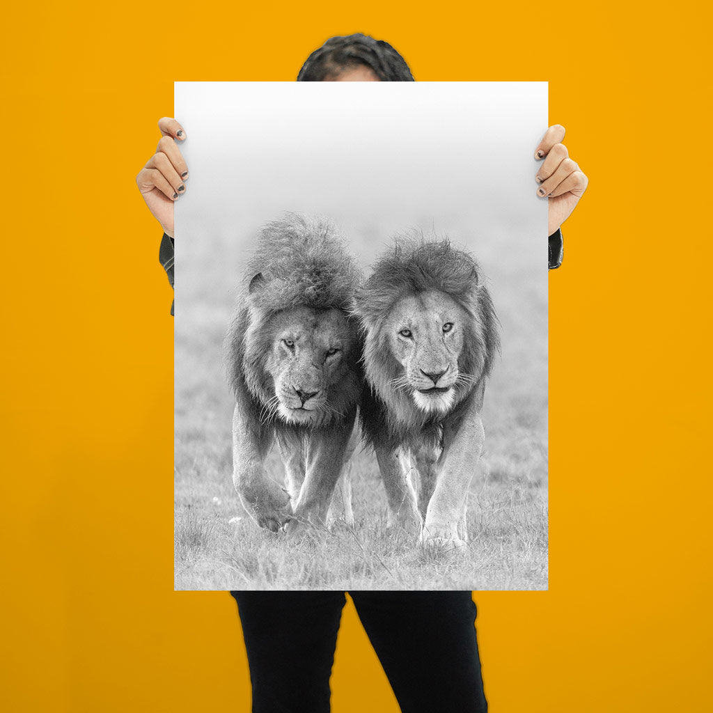 Two Kings Art Print by Richard Bernabe – Born Free Shop