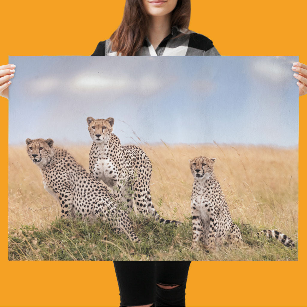 Lissome Trio Art Print by Richard Bernabe – Born Free Shop